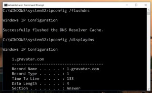 Cómo borrar la caché de DNS en Windows 10 | Neoguias